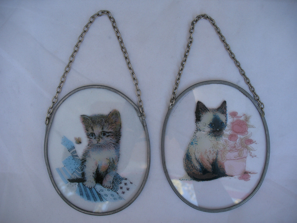 CAT CATS KITTY KITTENS SUNCATCHER SUNCATCHERS SUN CATCHER – TropicalFeel