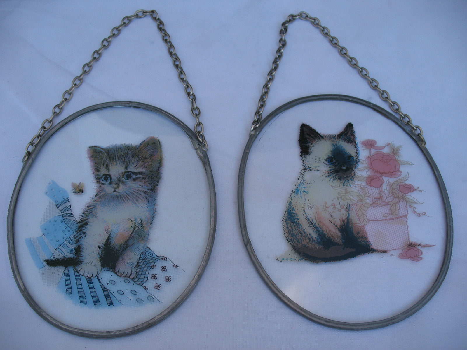 CAT CATS KITTY KITTENS SUNCATCHER SUNCATCHERS SUN CATCHER – TropicalFeel